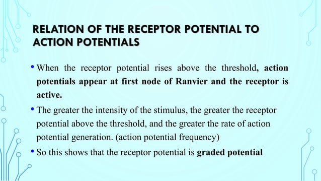 Sensory Receptors 2023 (2).pdf