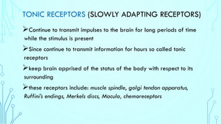 Sensory Receptors 2023 (2).pdf