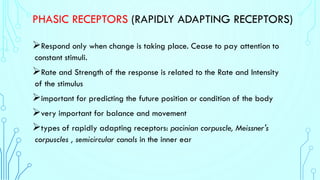 Sensory Receptors 2023 (2).pdf