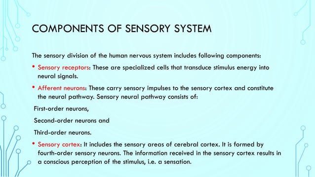 Sensory Receptors 2023 (2).pdf