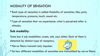 Sensory Receptors 2023 (2).pdf
