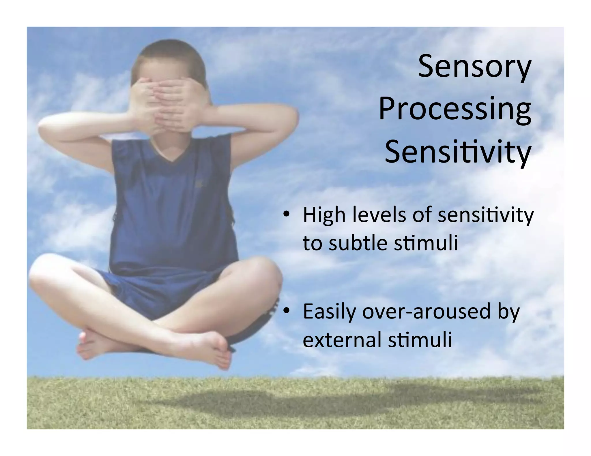 Sensory Sensitivities | PDF