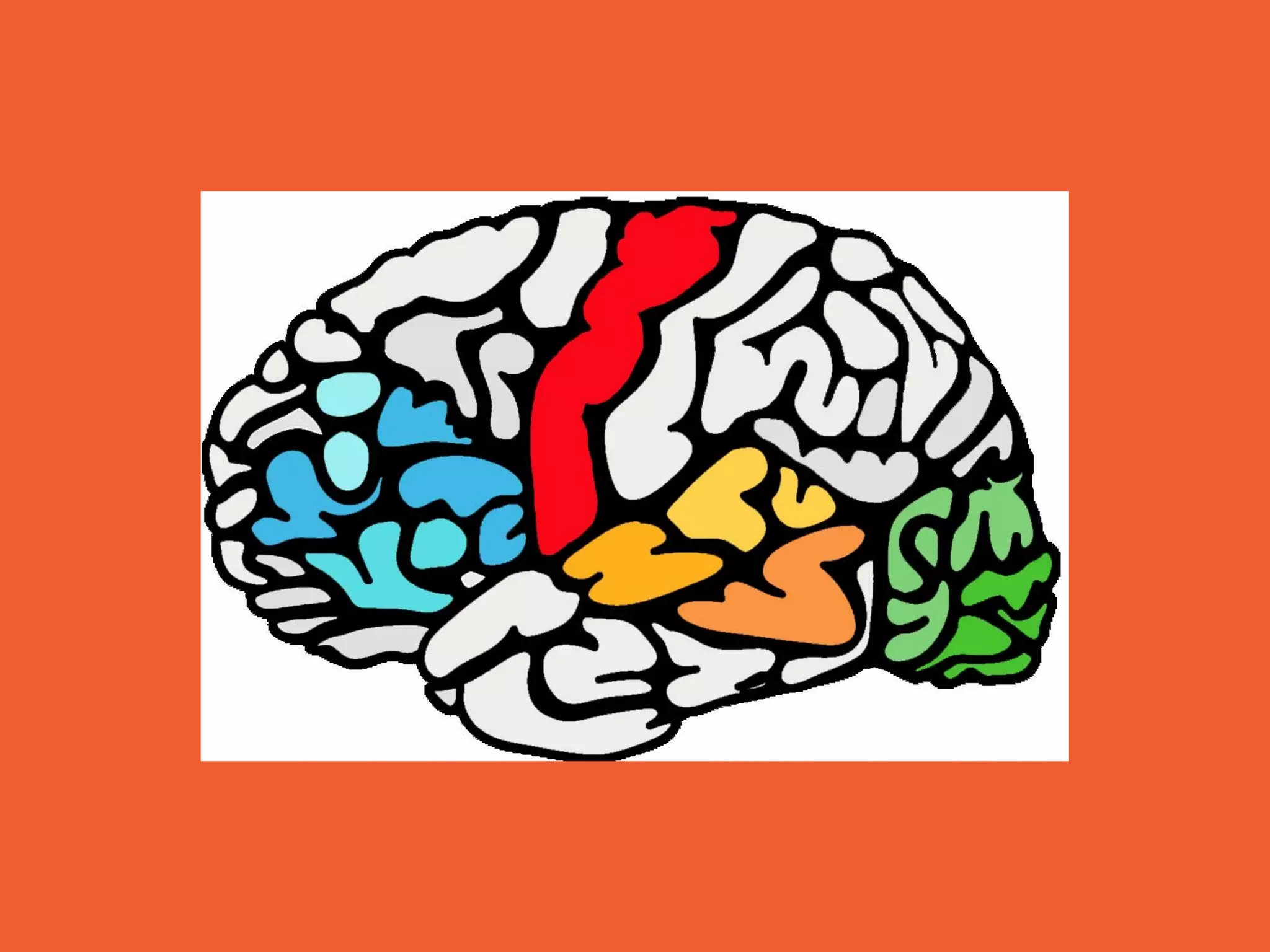 Sensory subsitution and augmentation | PPT