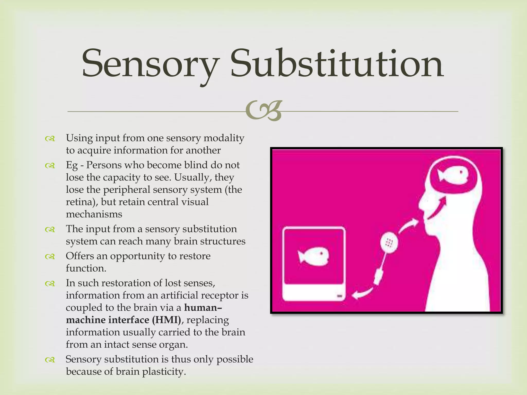 Sensory Substitution | PPTX