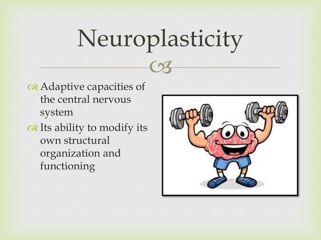 Sensory Substitution | PPTX