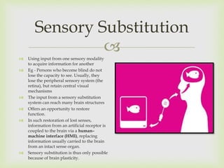 Sensory Substitution | PPTX