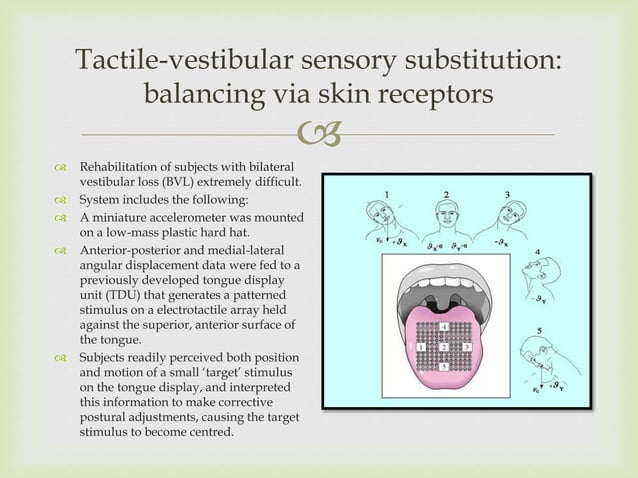 Sensory Substitution | PPTX