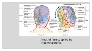 Sensory supply of face- Trigeminal nerve.pptx