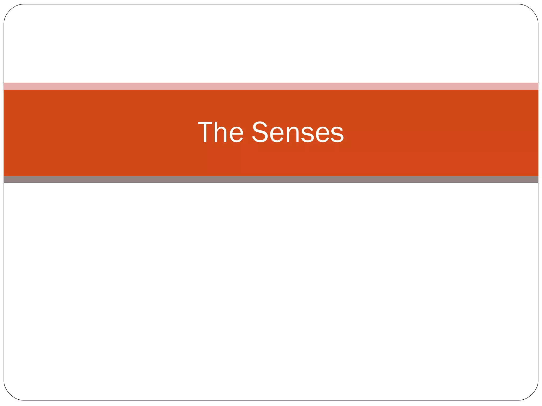 Sensory system | PPT