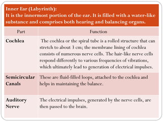 Sensory system | PPT