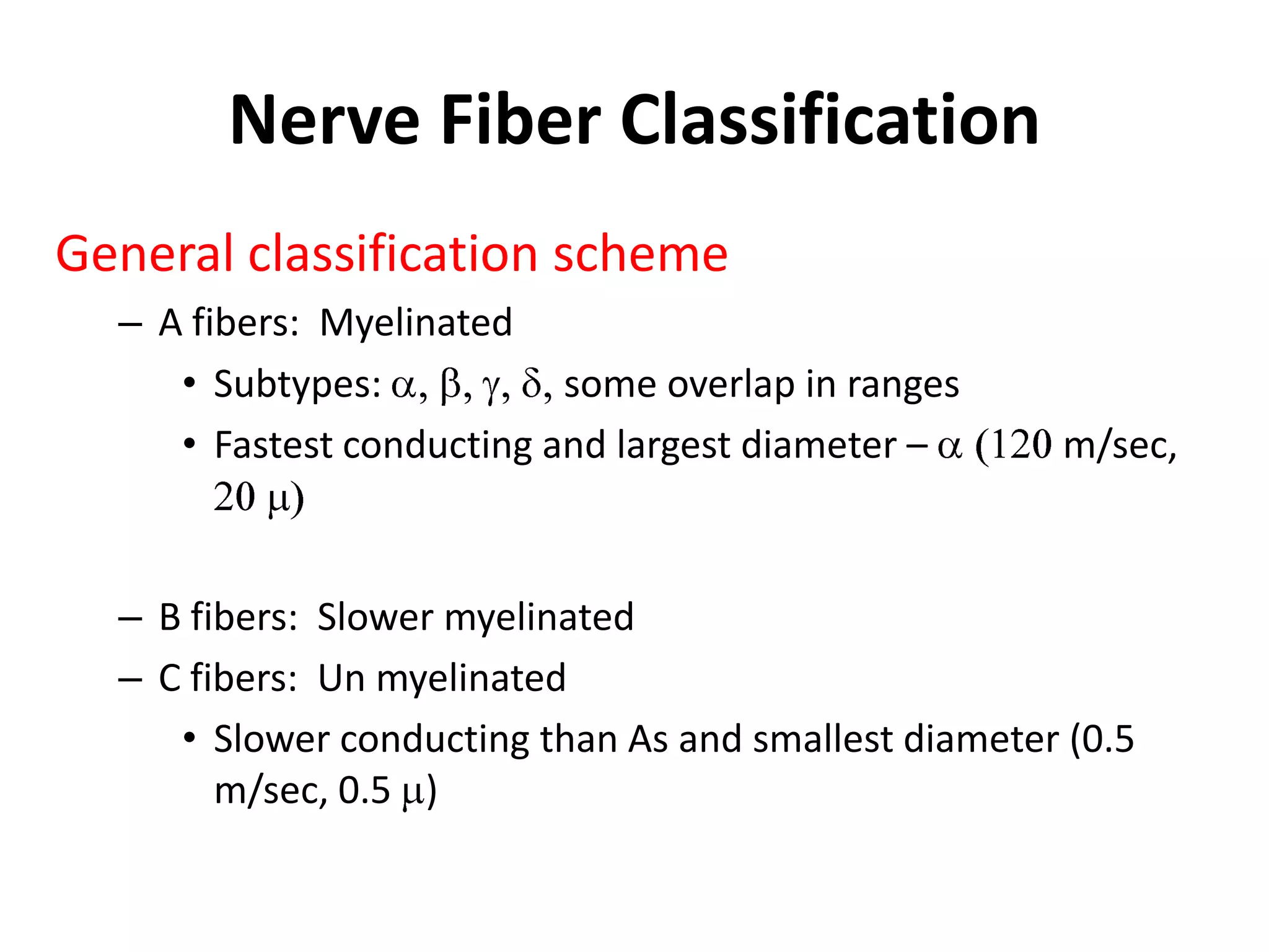 Sensory system | PPTX