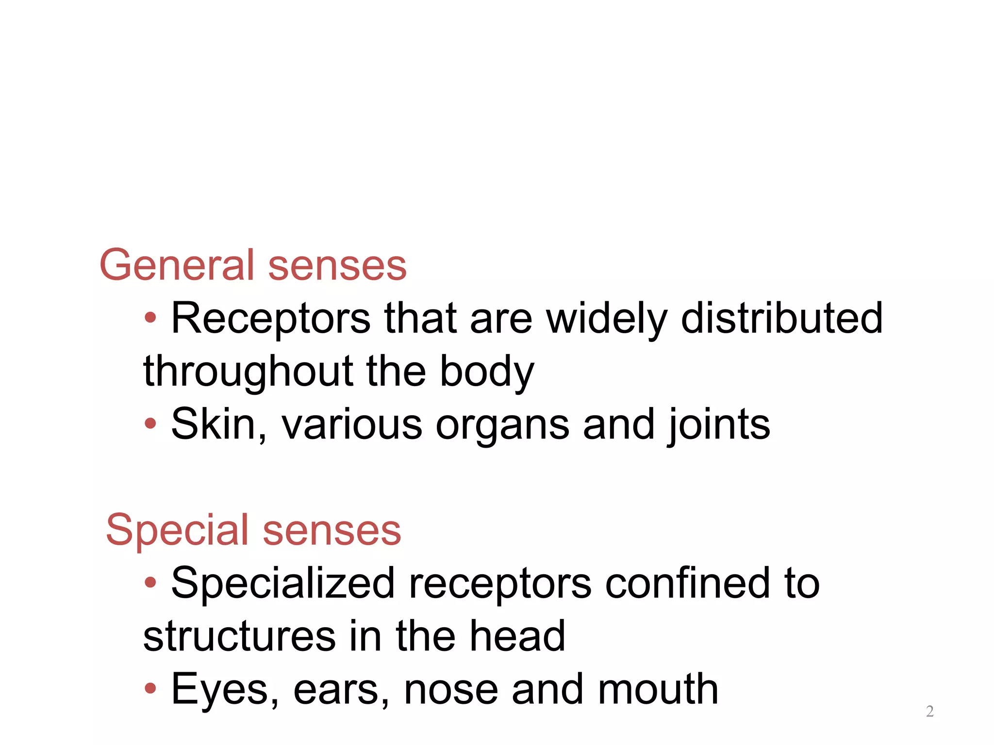 Sensory system | PPTX