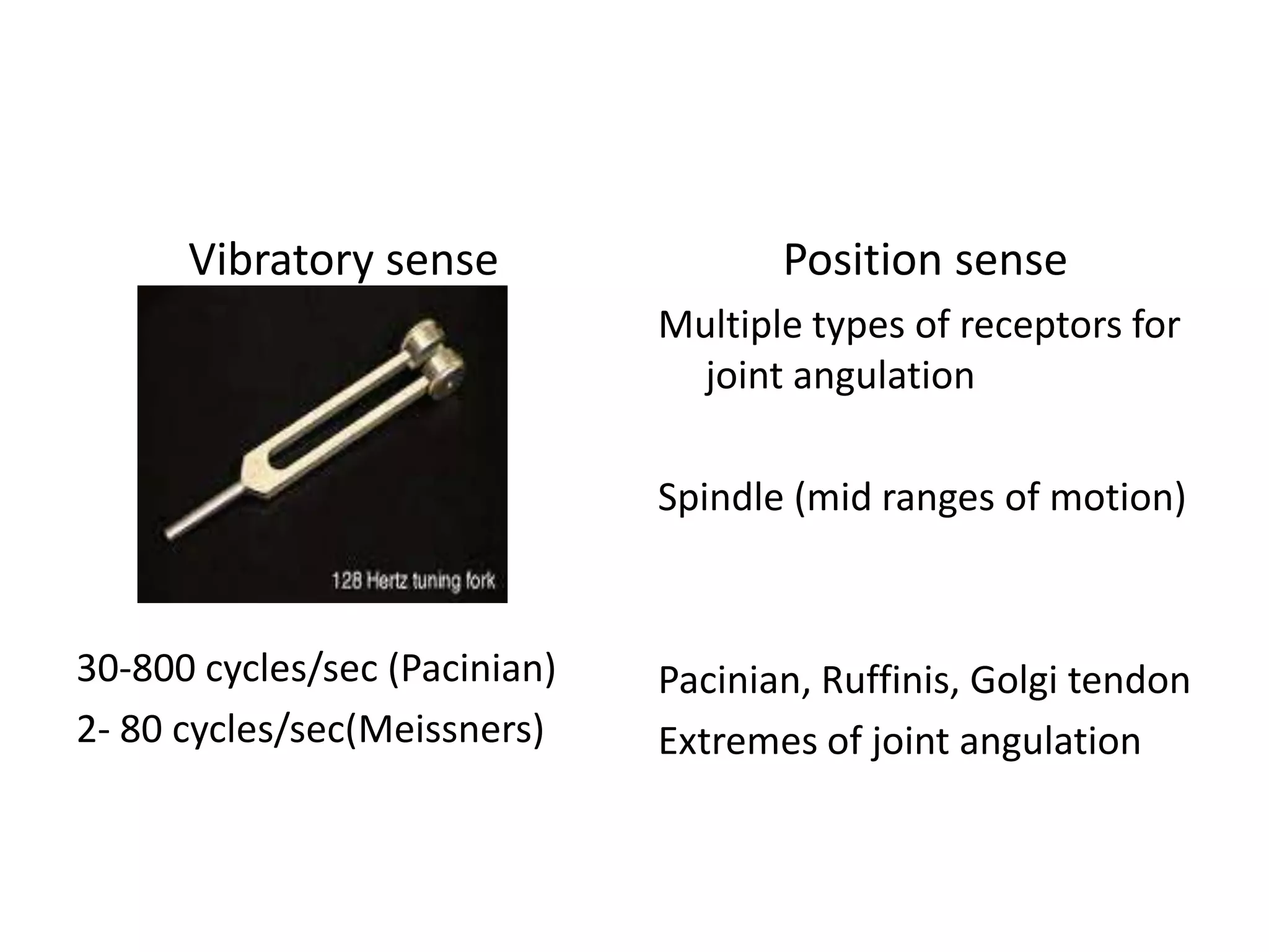 Sensory system | PPTX