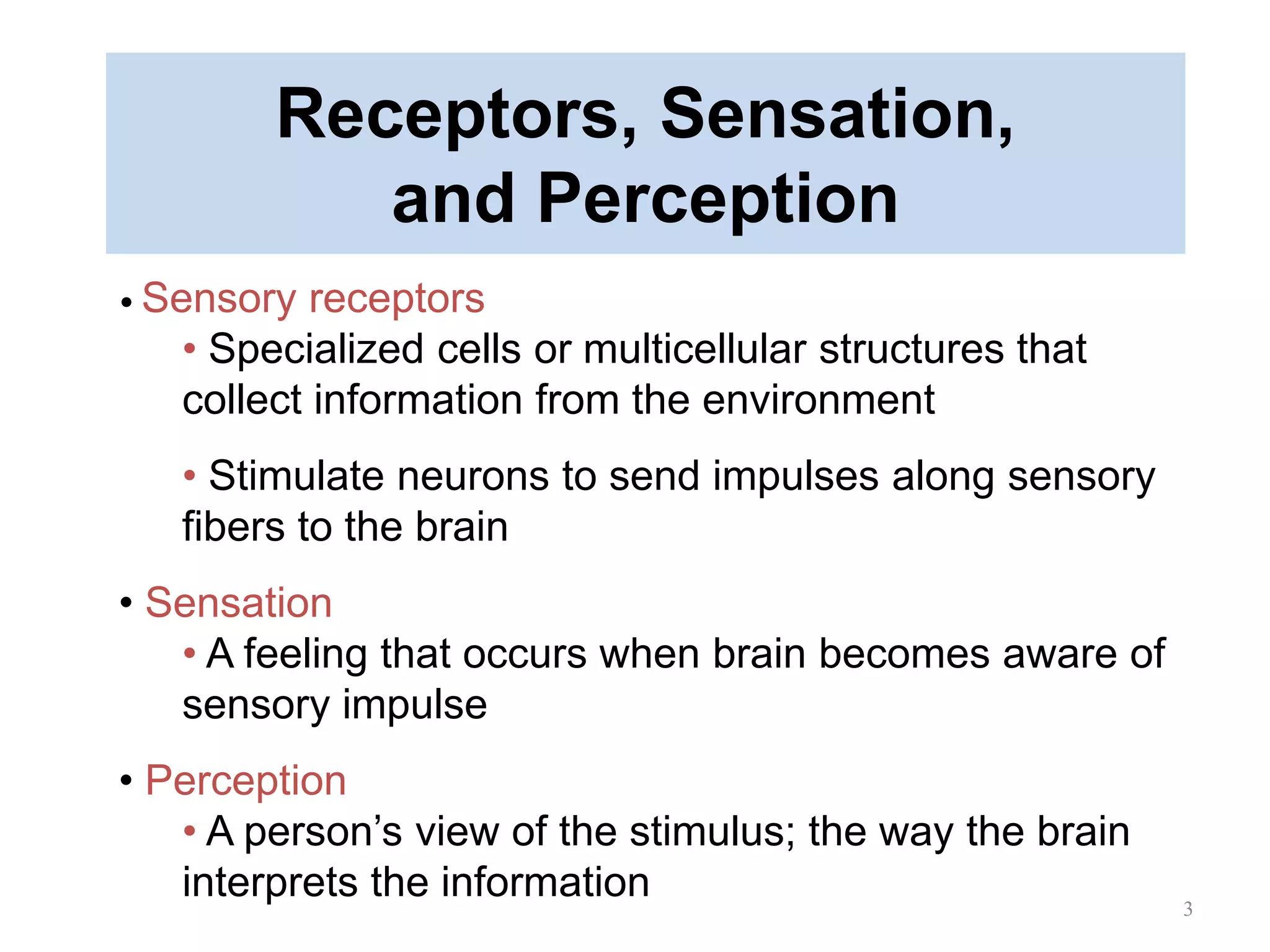 Sensory system | PPTX