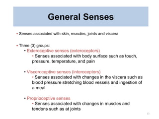 Sensory system | PPTX