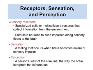 Sensory system | PPTX