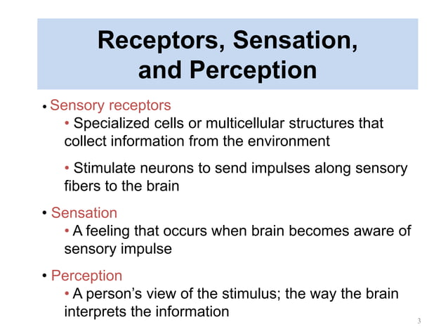 Sensory system | PPTX