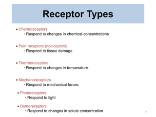Sensory system | PPTX