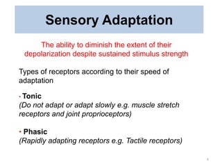 Sensory system | PPTX