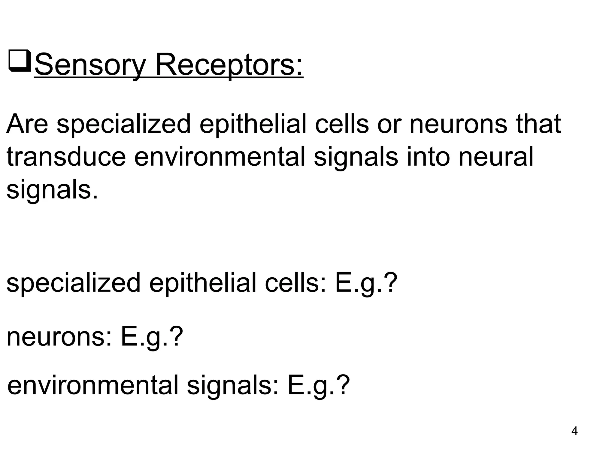 Sensory system | PPT