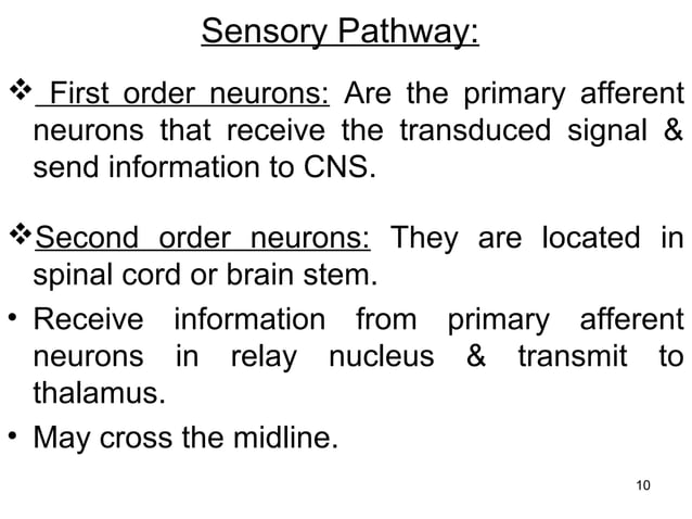 Sensory system | PPT