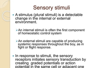 Sensory system. zk | PPTX