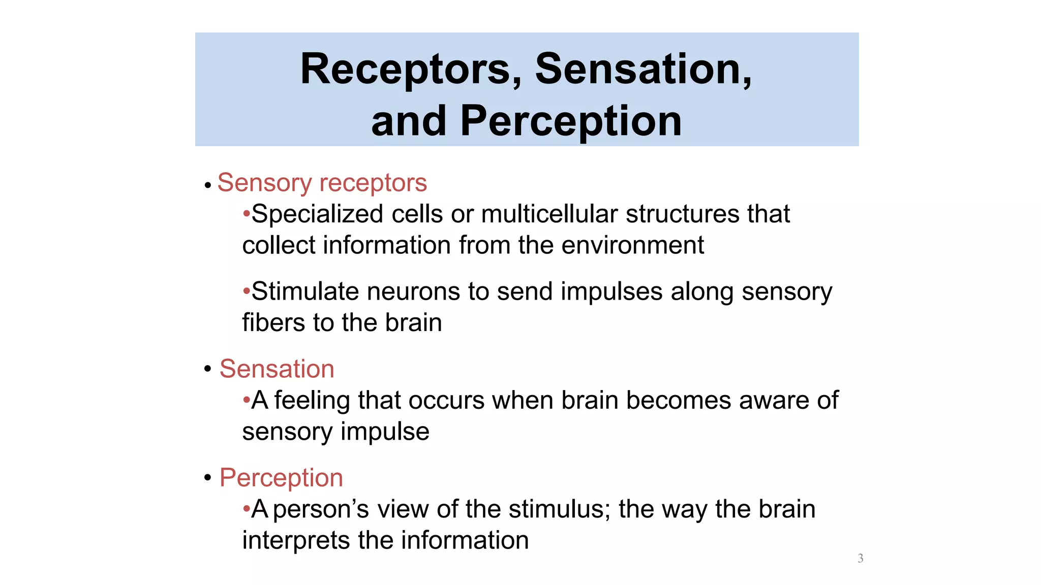 Sensory Receptors Are Cells That Are Specialized