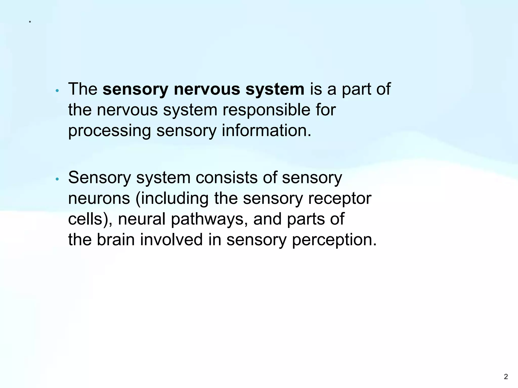 SENSORY SYSTEM.pptx