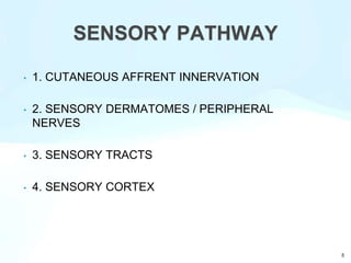 SENSORY SYSTEM WITH PATHWAYS AND CLINICAL EXAMINATION | PPTX