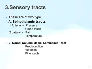 SENSORY SYSTEM.pptx