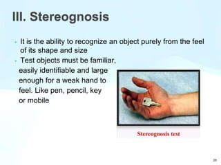 SENSORY SYSTEM.pptx