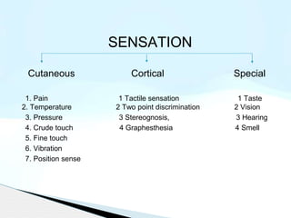 SENSORY SYSTEM.pptx