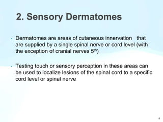 SENSORY SYSTEM.pptx