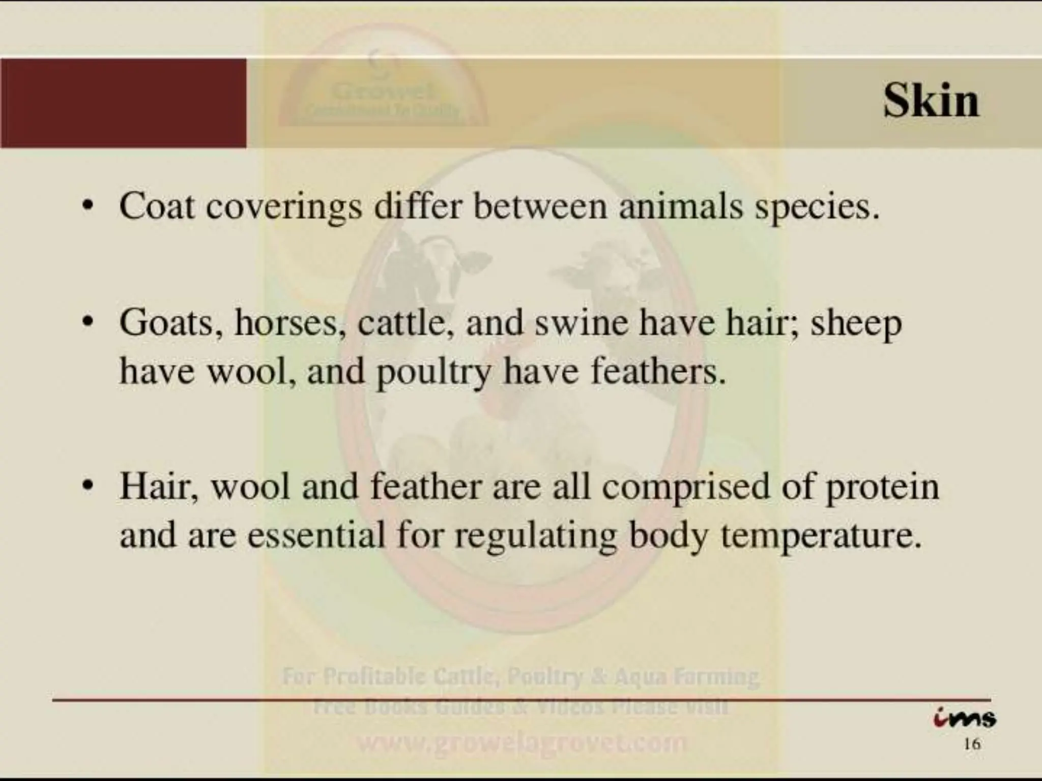 Sensory system of animals, Veterinary Content Diploma level ...