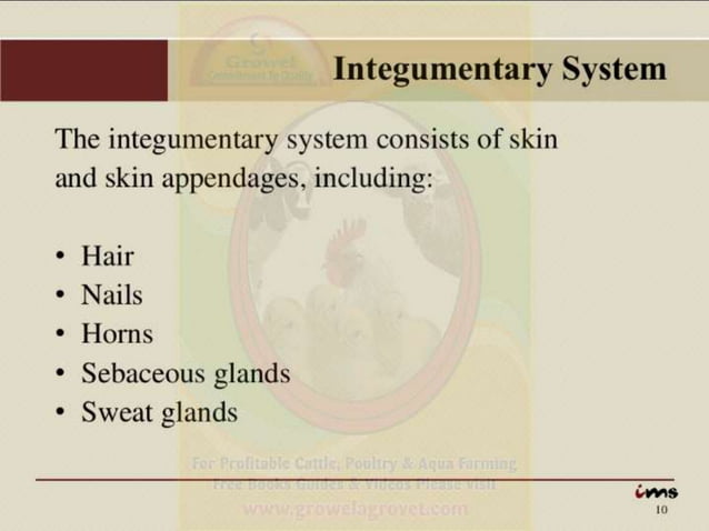 Sensory system of animals, Veterinary Content Diploma level ...