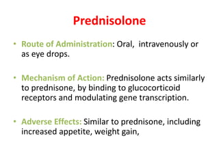 Sensory System........................pptx