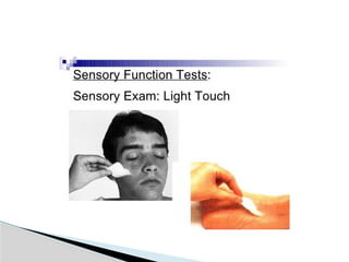 CLINICAL EXAMINATION OF SENSORY SYSTEM | PPTX