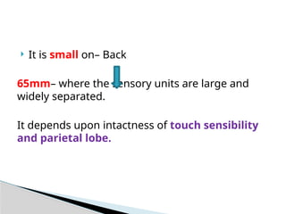 CLINICAL EXAMINATION OF SENSORY SYSTEM | PPT