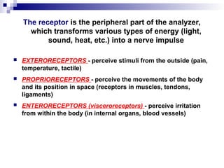Sensory system.ppt neurology for medical | PPT