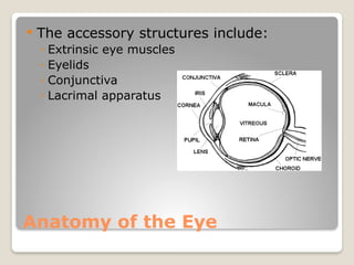 Comprehensive Overview of the Human Eye and Special Senses | PPTX