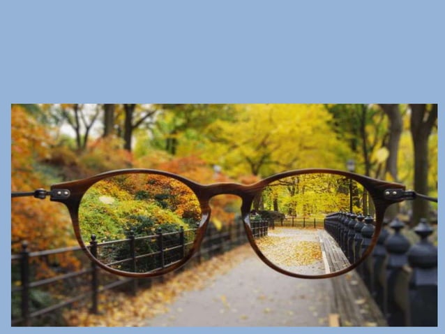 Dean R Berry Sensory System Vision | PPT