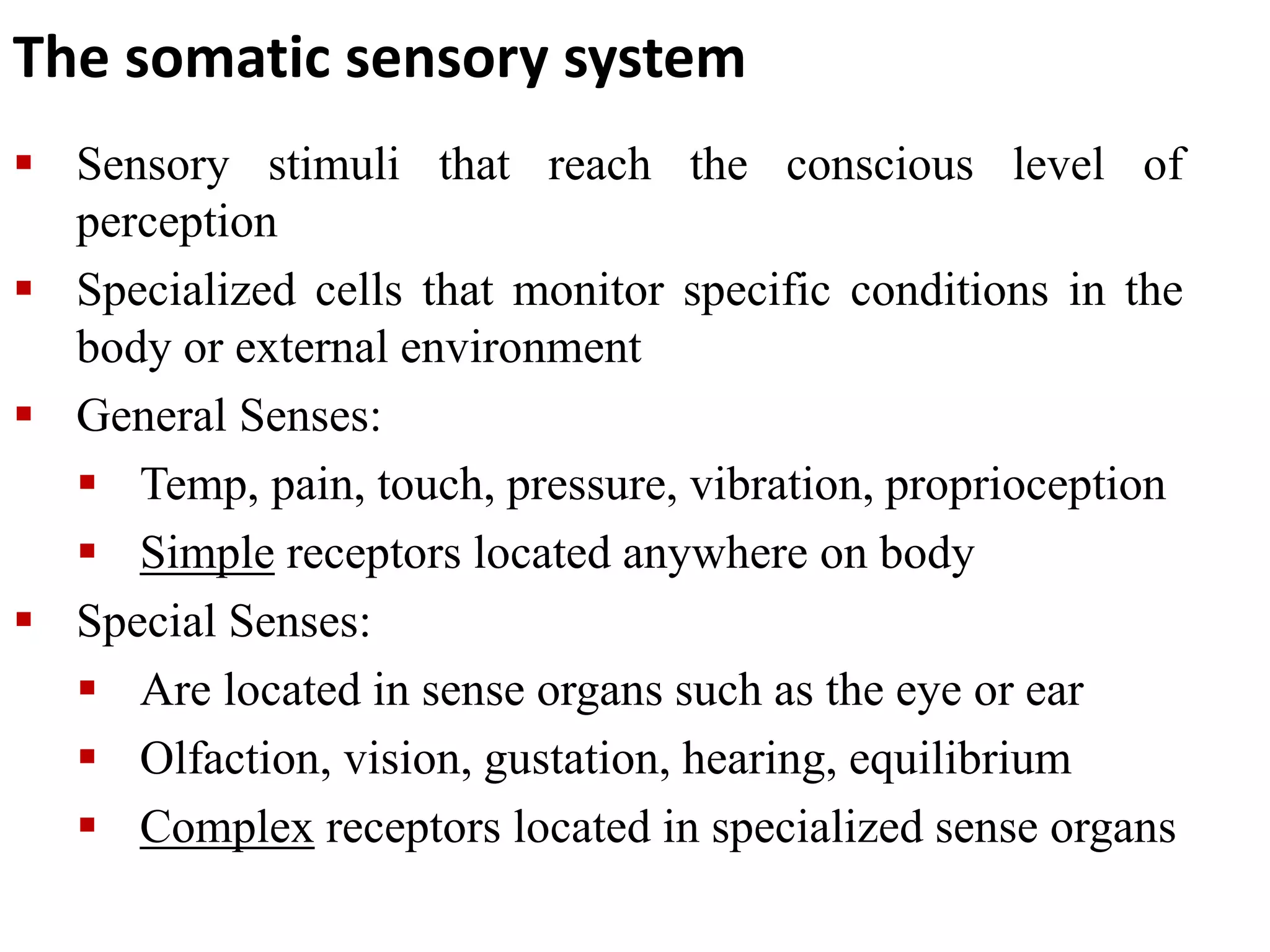 Sensory system and somatic sensation.pptx