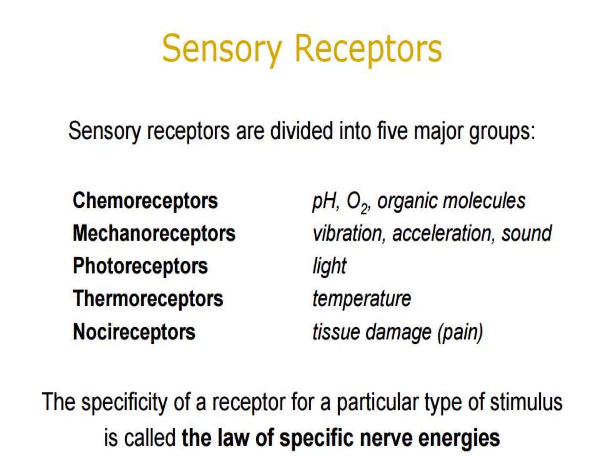 Sensory system and somatic sensation.pptx