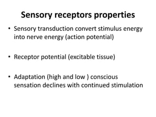 Sensory system and somatic sensation.pptx