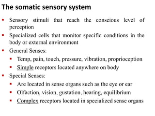 Sensory system and somatic sensation.pptx