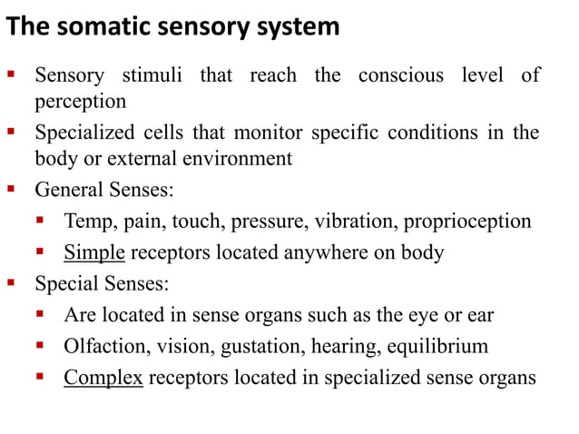 Sensory system and somatic sensation.pptx | Brain and Nervous System Disorders | Diseases and ...