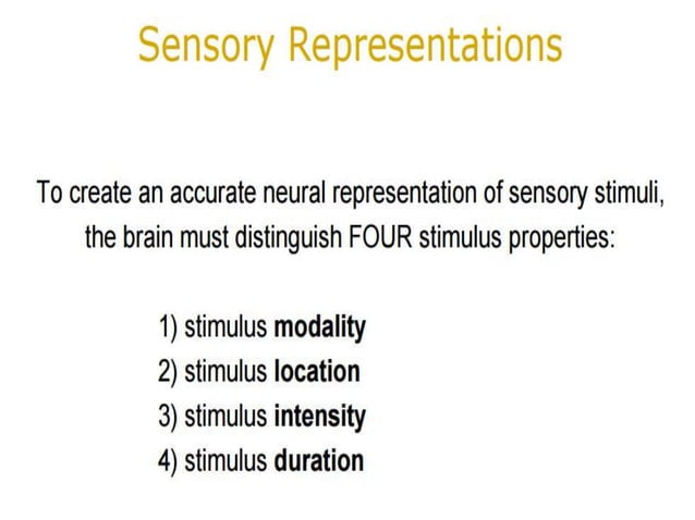 Sensory system and somatic sensation.pptx | Brain and Nervous System Disorders | Diseases and ...