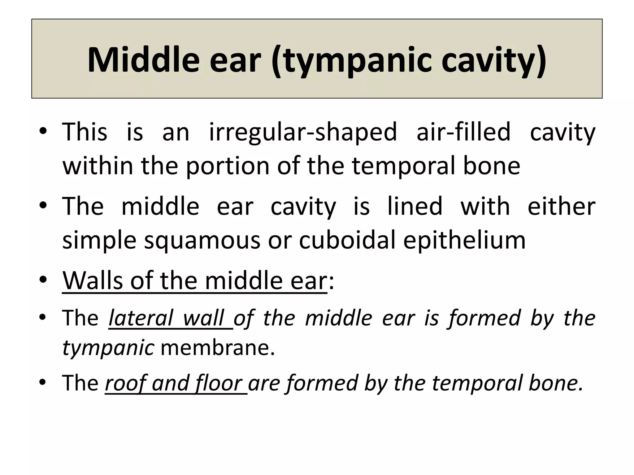 Sensory system, ear,eye anatomy | PDF