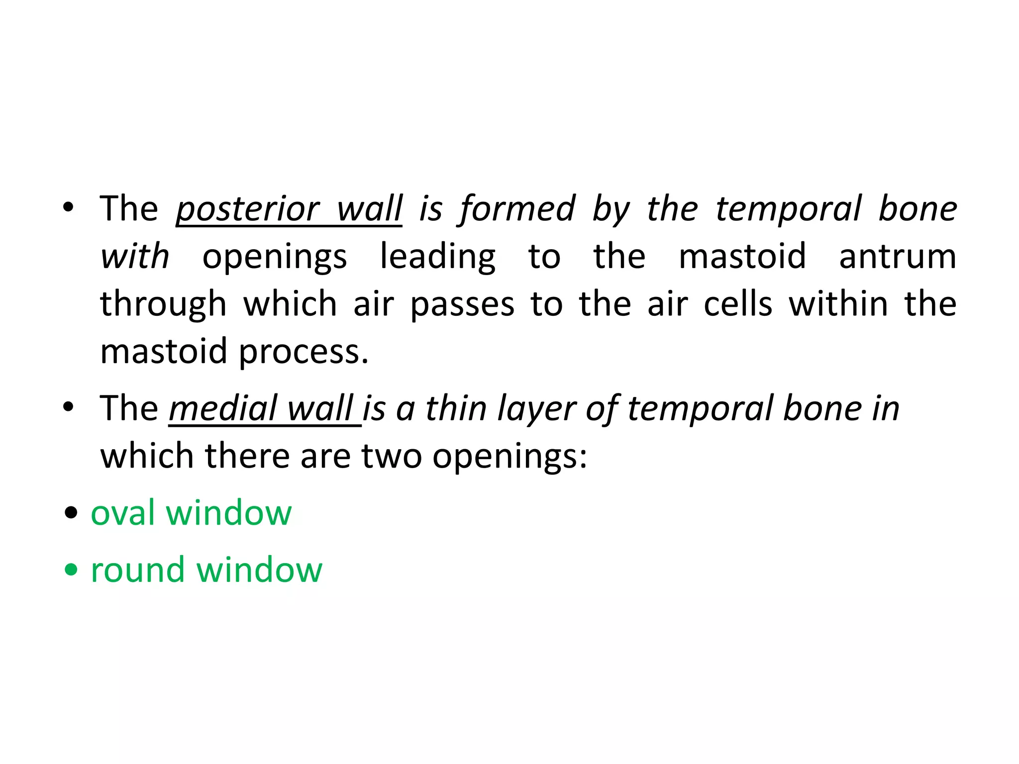 Sensory system, ear,eye anatomy | PDF
