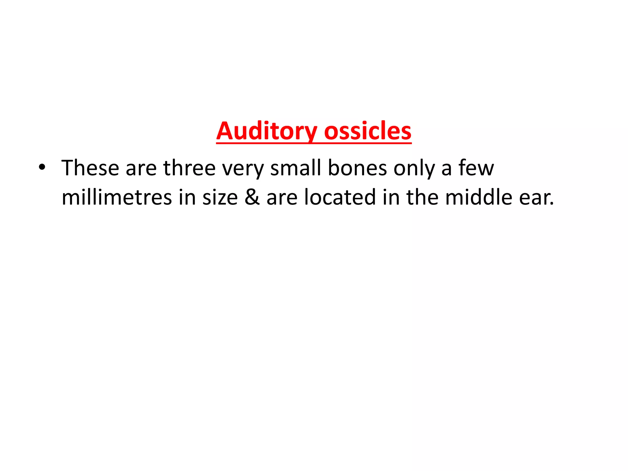 Sensory system, ear,eye anatomy | PDF